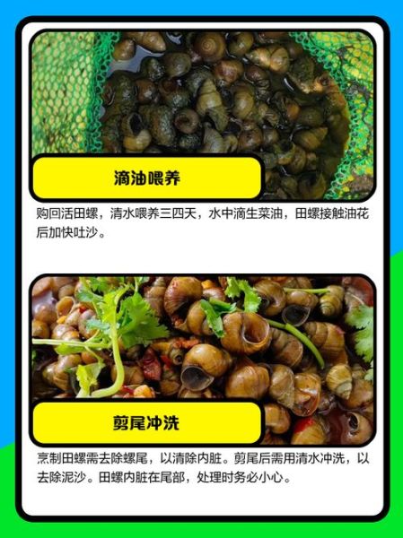 田螺怎么清洗最干净_田螺的做法家常做法-第2张图片-山城妙识