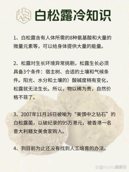 白松露菌的功效与作用_白松露菌多少钱一斤-第2张图片-山城妙识