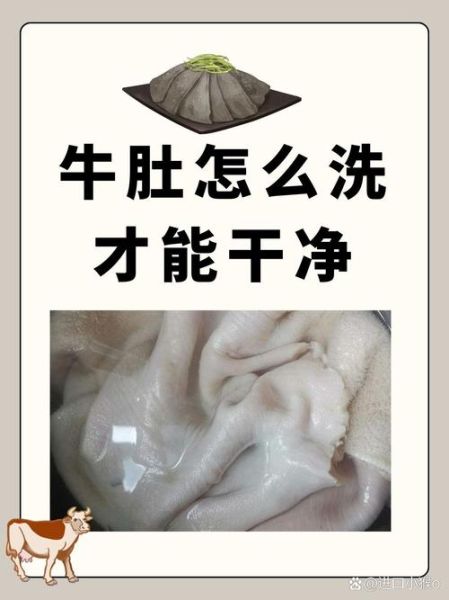 牛肚图片大全_牛肚怎么清洗才干净-第1张图片-山城妙识 牛肚图片大全_牛肚怎么清洗才干净-第1张图片-山城妙识