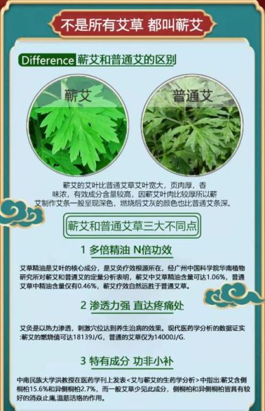 艾草精油膏怎么用_艾草精油膏功效与作用-第1张图片-山城妙识 艾草精油膏怎么用_艾草精油膏功效与作用-第1张图片-山城妙识