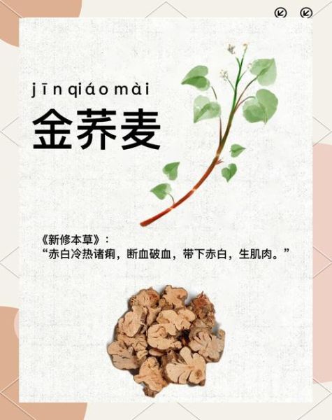 金荞麦片的功效与作用_金荞麦片饭前还是饭后吃-第2张图片-山城妙识