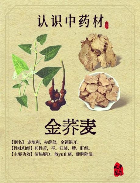 金荞麦片的功效与作用_金荞麦片饭前还是饭后吃-第1张图片-山城妙识