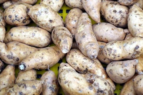 黑斑红薯切开什么样子_黑斑红薯还能吃吗-第1张图片-山城妙识