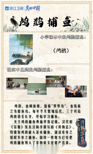 鸬鹚怎么读_鸬鹚捕鱼原理是什么-第3张图片-山城妙识