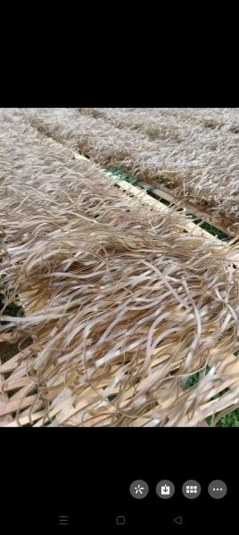 番薯粉干的功效与作用_番薯粉干适合什么人吃-第1张图片-山城妙识 番薯粉干的功效与作用_番薯粉干适合什么人吃-第1张图片-山城妙识