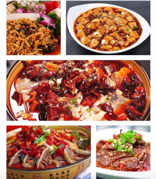 八大菜系顺口溜带拼音_川菜为什么辣-第2张图片-山城妙识