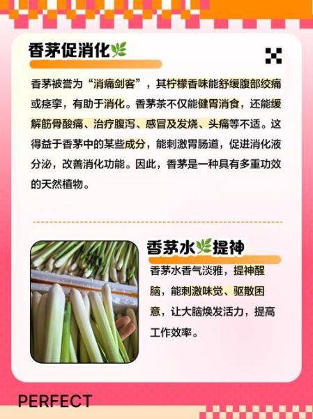 香茅可以长期泡水喝吗_香茅长期喝有副作用吗-第1张图片-山城妙识 香茅可以长期泡水喝吗_香茅长期喝有副作用吗-第1张图片-山城妙识