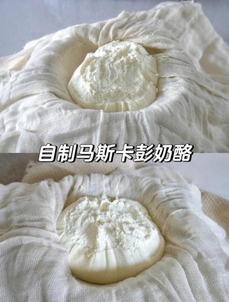 奶酪是怎么做出来的_家庭自制奶酪步骤-第1张图片-山城妙识 奶酪是怎么做出来的_家庭自制奶酪步骤-第1张图片-山城妙识