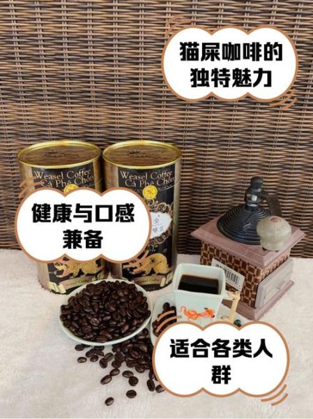 猫屎咖啡多少钱一斤_为什么猫屎咖啡这么贵-第1张图片-山城妙识
