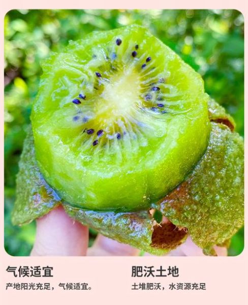 吃一个月猕猴桃能减肥吗_猕猴桃吃多久见效-第2张图片-山城妙识