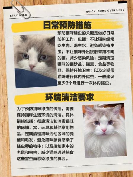 猫肉煮熟了还有寄生虫吗_猫肉寄生虫高温能杀死吗-第1张图片-山城妙识