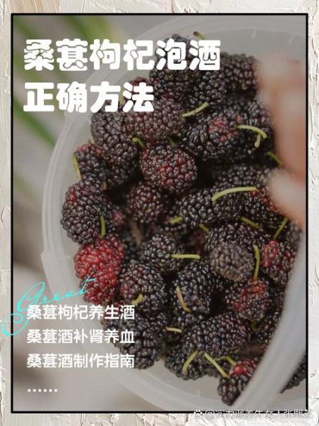 桑树果泡酒补肾壮阳吗_桑树果泡酒怎么泡效果最好-第1张图片-山城妙识