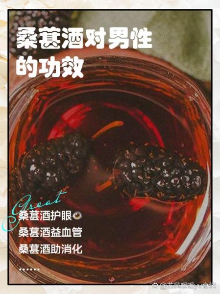 桑树果泡酒补肾壮阳吗_桑树果泡酒怎么泡效果最好-第2张图片-山城妙识