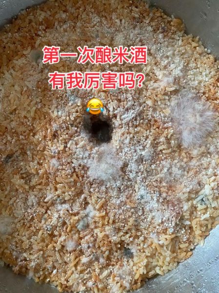 家庭如何制作米酒_米酒发酵失败怎么办-第3张图片-山城妙识 家庭如何制作米酒_米酒发酵失败怎么办-第3张图片-山城妙识