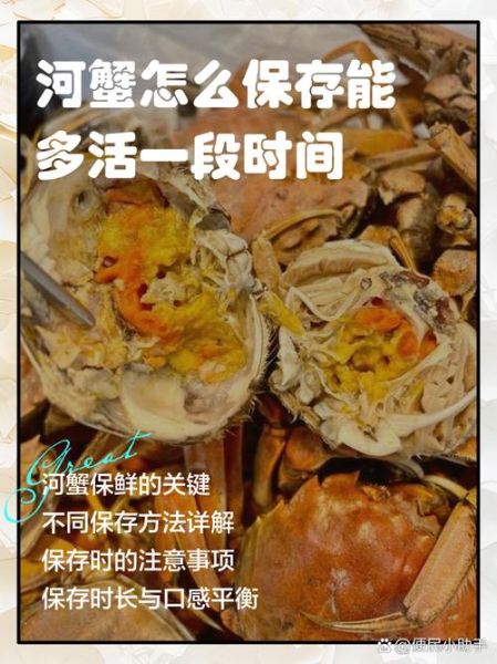 河蟹怎么保存_河蟹能放冰箱吗-第3张图片-山城妙识 河蟹怎么保存_河蟹能放冰箱吗-第3张图片-山城妙识