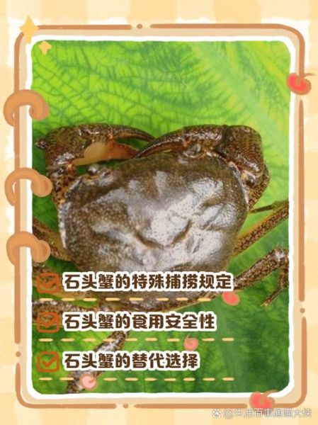 石蟹为什么没人吃_石蟹能吃吗-第1张图片-山城妙识