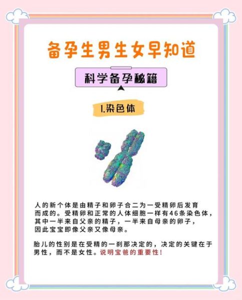 想生男孩怎么备孕_备孕男孩的科学方法-第2张图片-山城妙识