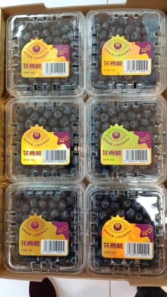 蓝莓为什么按盒卖_蓝莓一盒一盒卖的好处-第2张图片-山城妙识