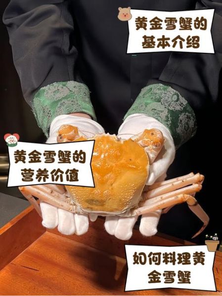 阿拉斯加雪蟹多少钱一斤_如何挑选最新鲜-第1张图片-山城妙识