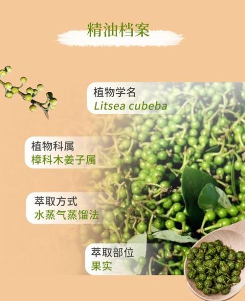 山鸡椒的功效与作用_山鸡椒精油怎么用-第1张图片-山城妙识