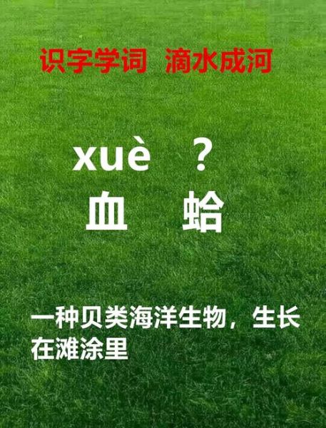 蛤的读音是什么_蛤怎么读才正确-第2张图片-山城妙识