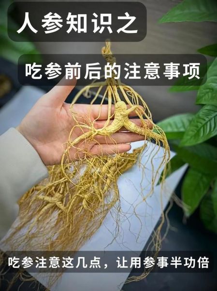 人参的功效与作用有哪些_人参怎么吃最营养-第3张图片-山城妙识