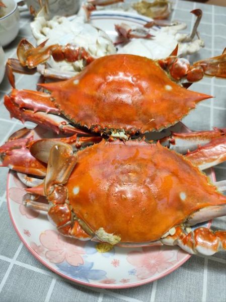 2斤大螃蟹蒸多长时间_蒸螃蟹最佳时间-第3张图片-山城妙识
