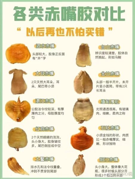 孕妇吃鱼胶的功效与禁忌_孕妇鱼胶怎么吃最好-第3张图片-山城妙识