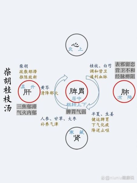 柴胡桂枝干姜汤方解_功效与作用-第1张图片-山城妙识 柴胡桂枝干姜汤方解_功效与作用-第1张图片-山城妙识