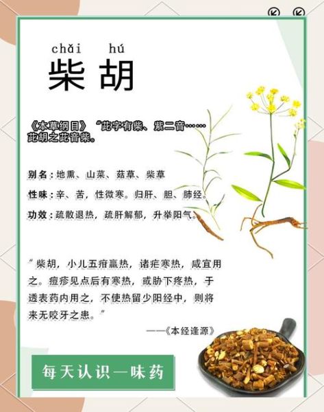 柴胡桂枝干姜汤方解_功效与作用-第3张图片-山城妙识 柴胡桂枝干姜汤方解_功效与作用-第3张图片-山城妙识