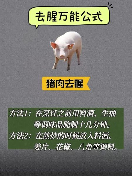肉丁怎么去腥_肉丁焯水还是腌制-第2张图片-山城妙识 肉丁怎么去腥_肉丁焯水还是腌制-第2张图片-山城妙识