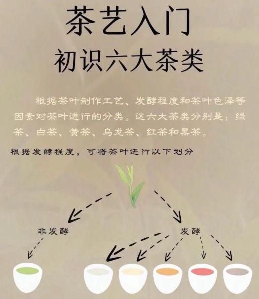 茶道入门_茶道文化是什么-第2张图片-山城妙识