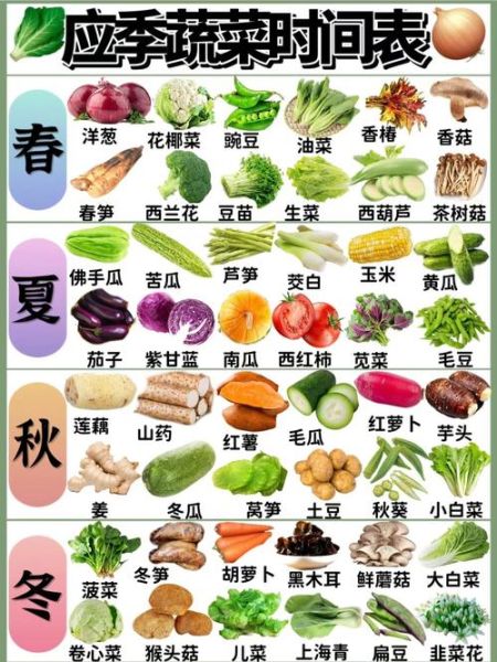 蔬菜种类名称大全_哪些蔬菜适合新手种植-第3张图片-山城妙识