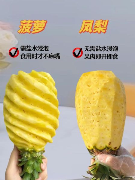 菠萝古老肉可以用凤梨代替吗_凤梨和菠萝区别-第1张图片-山城妙识