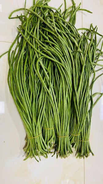 长豇豆怎么腌制_长豇豆腌制多久可以吃-第1张图片-山城妙识