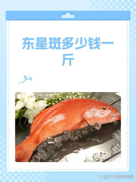 东星斑多少钱一斤2021_2021年东星斑价格走势-第1张图片-山城妙识