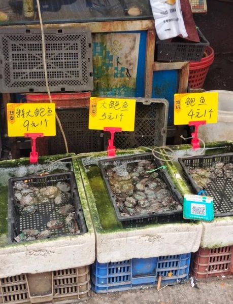 东星斑多少钱一斤2021_2021年东星斑价格走势-第2张图片-山城妙识