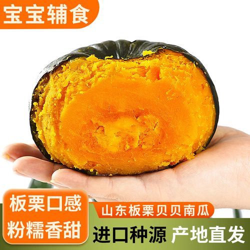 南瓜英语翻译_怎么翻译最地道-第2张图片-山城妙识