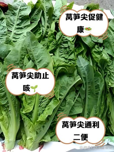 莴笋尖的营养价值_莴笋尖怎么吃最营养-第1张图片-山城妙识
