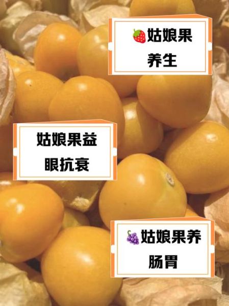 菇娘果的功效与作用_菇娘果怎么吃最好-第1张图片-山城妙识 菇娘果的功效与作用_菇娘果怎么吃最好-第1张图片-山城妙识