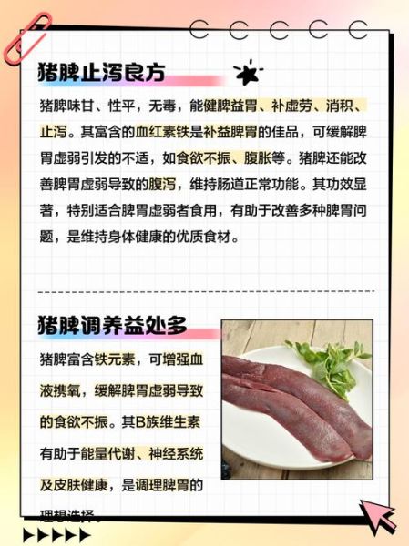 猪脾脏的功效与作用_猪脾脏怎么吃最补气血-第1张图片-山城妙识