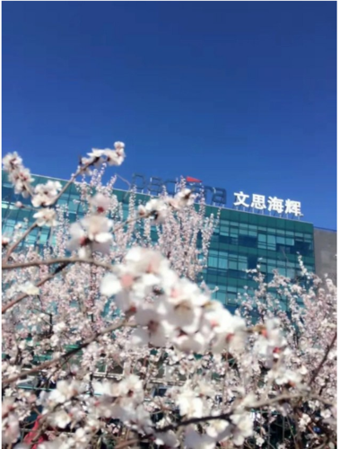 文思海辉是外包公司吗_文思海辉外包服务有哪些-第3张图片-山城妙识 文思海辉是外包公司吗_文思海辉外包服务有哪些-第3张图片-山城妙识