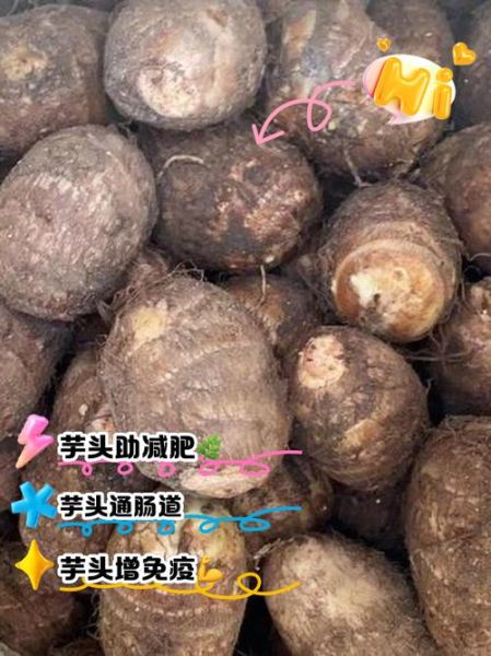 芋头热量高吗_减肥能吃芋头吗-第1张图片-山城妙识 芋头热量高吗_减肥能吃芋头吗-第1张图片-山城妙识