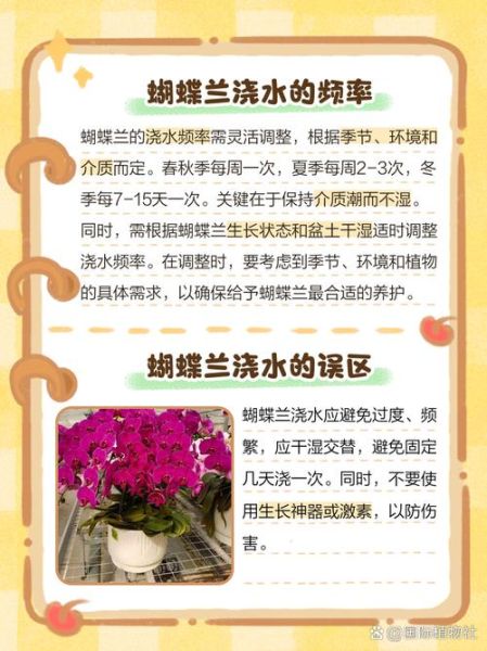 蝴蝶兰怎么养_蝴蝶兰多久浇一次水-第3张图片-山城妙识 蝴蝶兰怎么养_蝴蝶兰多久浇一次水-第3张图片-山城妙识