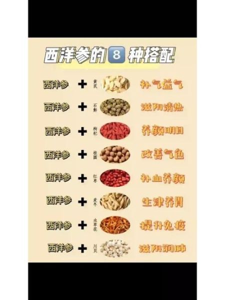 西洋参什么人不能吃_西洋参禁忌有哪些-第2张图片-山城妙识