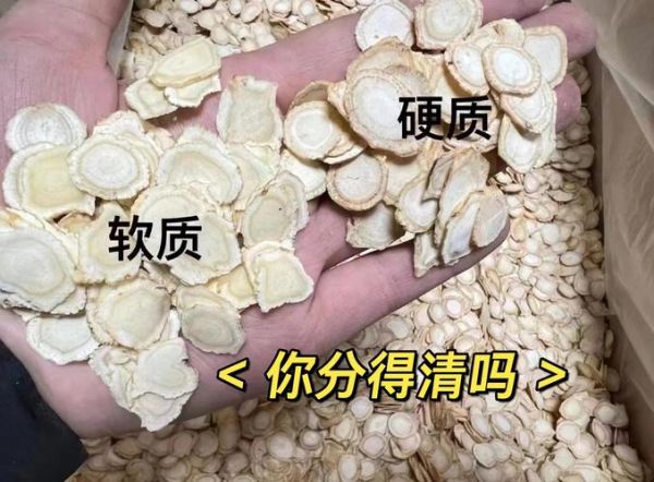 西洋参什么人不能吃_西洋参禁忌有哪些-第1张图片-山城妙识