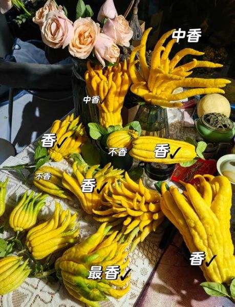香橼和佛手的区别_香橼佛手哪个好-第3张图片-山城妙识