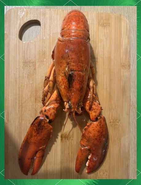 清蒸澳洲龙虾怎么做_家常做法步骤详解-第2张图片-山城妙识