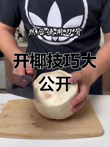 椰子怎么吃_椰子怎么打开-第3张图片-山城妙识