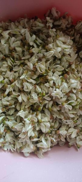 槐树花怎么吃_槐树花做法大全-第3张图片-山城妙识